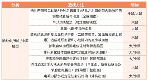 神经系统疾病模型 知乎