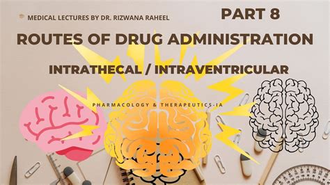 Intrathecal Intraventricular Route Of Drug Administration