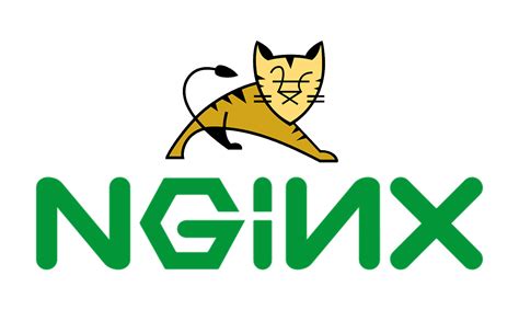 Tomcat Nginx Ip