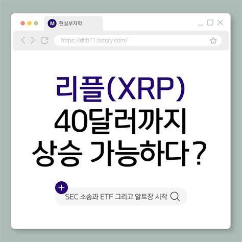 리플xrp 40달러까지 상승 가능 그 원인과 다양한 근거 알아보기