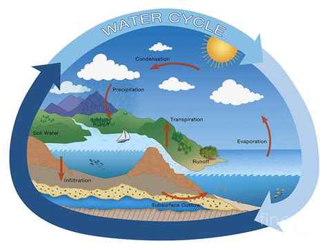 Earths Water Cycle Photograph By Monica Schroeder