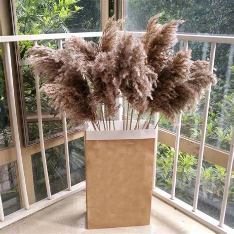 Natural Color Dried Pampas Grass Packaging Size 5 Ply Carton Box At