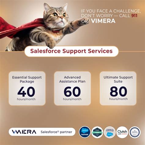 Vimera Salesforcecrm Salescloud Servicecloud Marketingcloud Salesforcesupport Apex Lwc