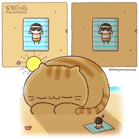 Best Funny Sunbathing Memes 9gag
