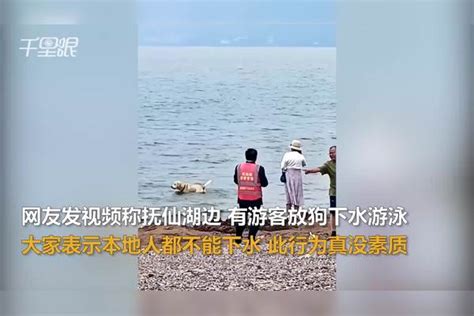 【云南】女子吐槽游客无视劝阻放狗下抚仙湖游泳 景区：属饮用水禁止下水游泳，除罚款外会上旅游黑名单