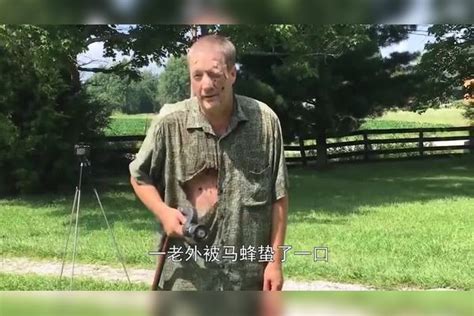 老外被马蜂蜇了下，直接派出“无人机”直捣马蜂老巢，画面太刺激马蜂老巢无人机