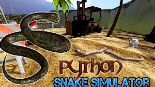 PYTHON SNAKE SIMULATOR Juego Gratis Online En Minijuegos