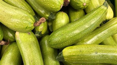 Green Squash Vegetable