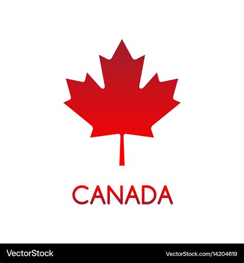 simple canadian maple leaf royalty free vector image