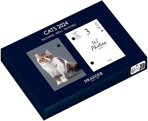 Jp ドレジャー 2024年 365日日めくりカレンダー レフィル差し替え用 Cats 卓上 猫 動物 写真 祝日