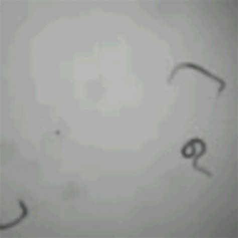 Cuál Es La Planta Que Te Ayuda A Relajar Calma Los Nervios Y Quita El