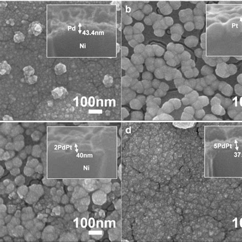 Sem Images In Planar And Cross Sectional Views For The A Pd B Pt
