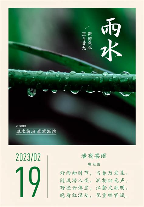 敬一丹雨水春风化雨山河朗润 摄影 节气 喜鹊