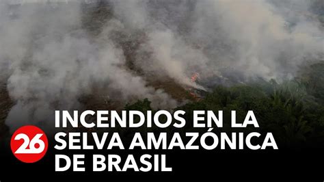 Incendios En La Selva Amazónica Youtube