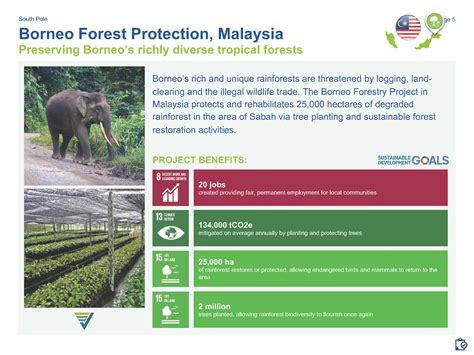 Carbon Offset Program