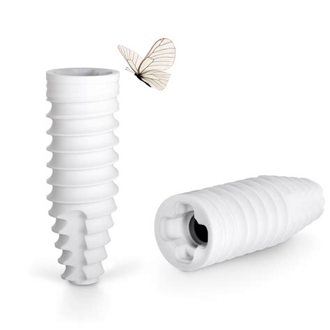 Camlog Implantatsysteme Für Die Dentale Implantologie
