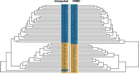 Full article: FRMC: a fast and robust method for the imputation of scRNA-seq data
