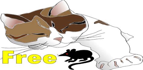 Cat Vs Mouse For Pc How To Install On Windows Pc Mac