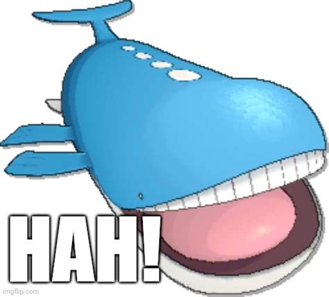 Laughing Wailord Imgflip