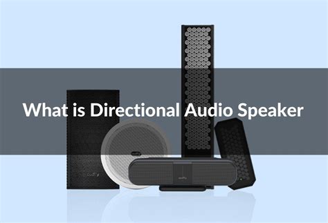 Ultra Directional Speaker For Indoor Using Directional Speaker Company
