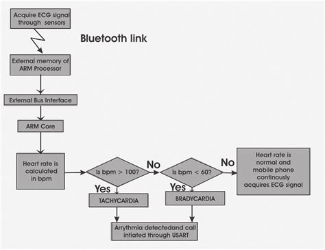 Flowchart Showing The Logic Of Ecg Analysis Download Scientific Diagram