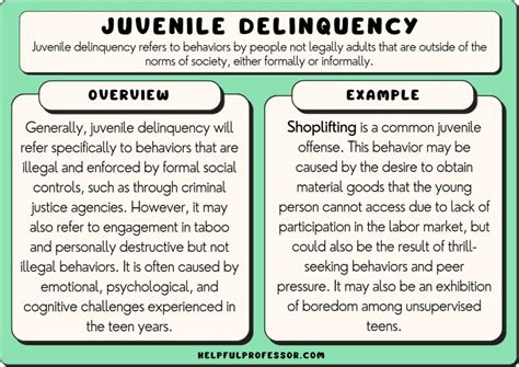 Juvenile Delinquency Examples And Their Impacts