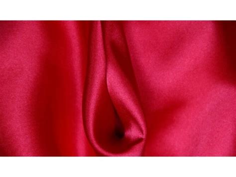 Tout savoir sur les vulves Paris derrière