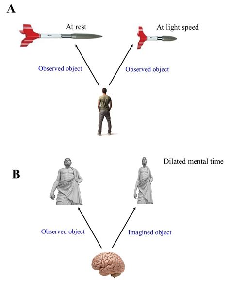 Arturo Tozzi Arturo On Linkedin · Visual Imagery Is The Mental Experience Of Objects In The