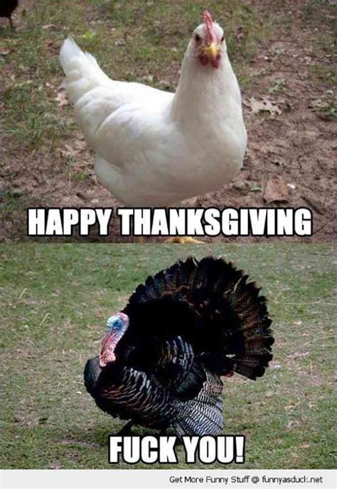 50 Funny Thanksgiving Memes To Make You Laugh Like A Real Turkey