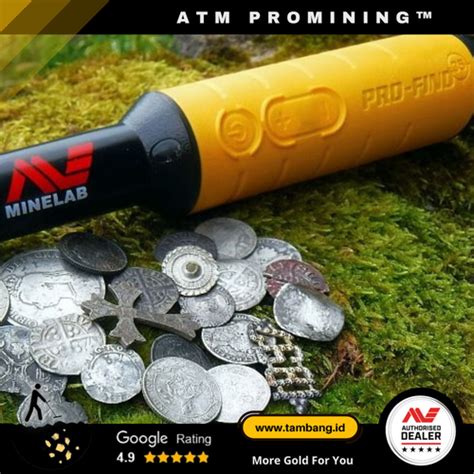 Pro Find 35 Minelab Pinpointer Atm Promining