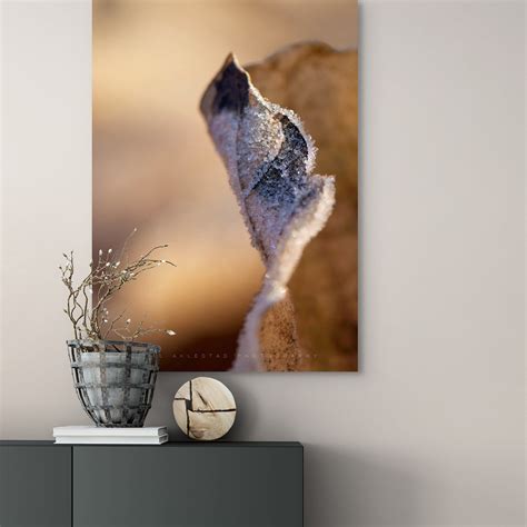 Frost Njål Aklestad Photography