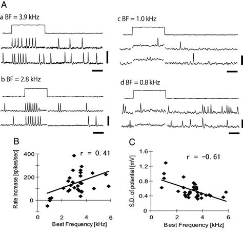 biophysical parameters and the best frequency of the cell a examples