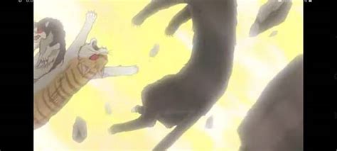 이누야샤 딸 근황 인스티즈instiz 이슈 카테고리