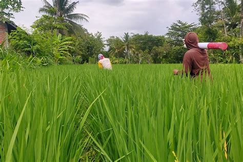 Lihat Tanahnya Dipatok Untuk Jalan Tol Warga Kulon Progo Rasanya