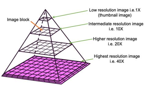 2 Pyramid Model For Multi Resolution Whole Slide Image Download Scientific Diagram