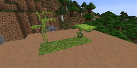Where To Find A Dripleaf In Minecraft
