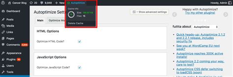Autoptimize Plugin Improve Your Wordpress Speed In 5 Minutes Solvid