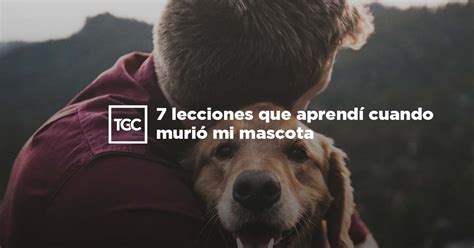 7 Lecciones Que Aprendí Cuando Murió Mi Mascota Coalición Por El