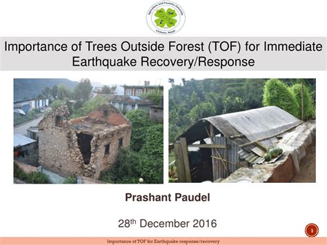 Pdf Importance Of Trees Outside Forest Tof For Immediate Earthquake
