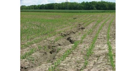 Аалтернативи за обработка на почвата Български Фермер