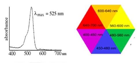 Solved The Absorbance Graph At Different Wavelengths Of A