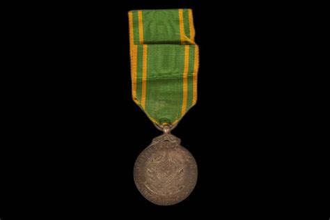 Colecionismo NumismÁtica Medalha Comemorativa Do Ci