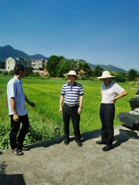黄石人大