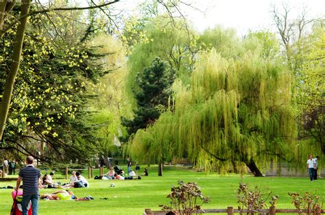 Pariss Best Parks And Gardens Things To Do Paris