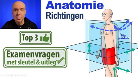 Richtingen Anatomie Uitleg Top 3 Examen Vragen Youtube