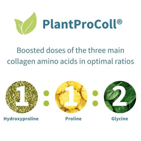 Vegan Pro Collagen Protein Powder Enhanced With Glycine Proline