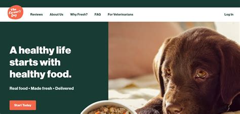 25 Best Shopify Blog Examples And Tips Behind Them 2025