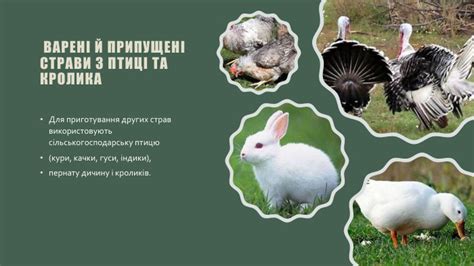 Презентація до уроку виробничого навчання Приготування страв з вареного мяса