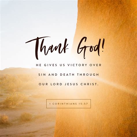 Why Gratitude Is Great For You Youversion