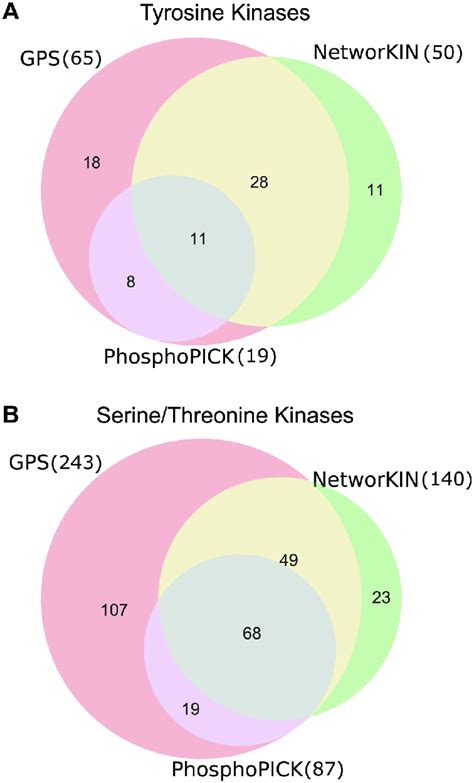Comparison Of The Number Of Kinases In Each Predictive Algorithm By Download Scientific Diagram